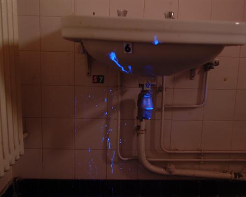 BLUESTAR® Identi-HEM® Box of 24 Tests – Bluestar USA